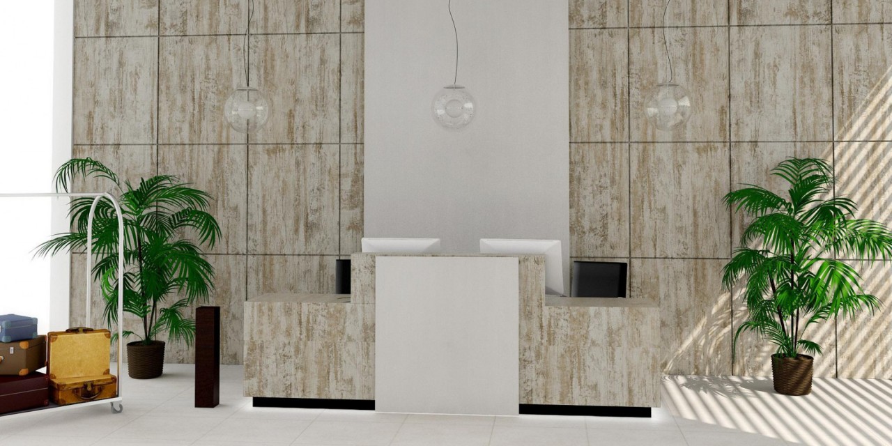 Losan - Palmer Timber